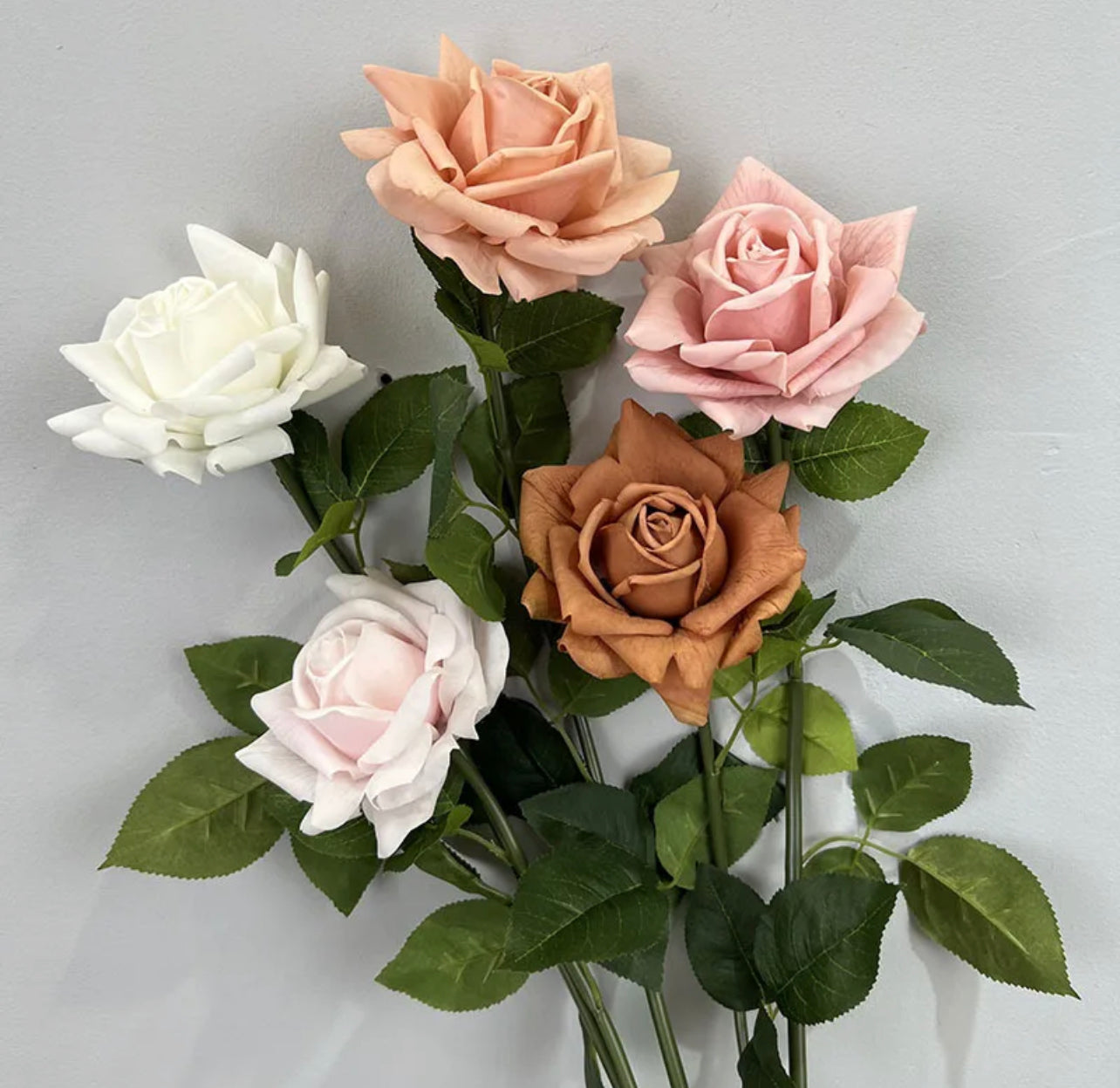 How to care for your florals – JKF & Co Pty Ltd